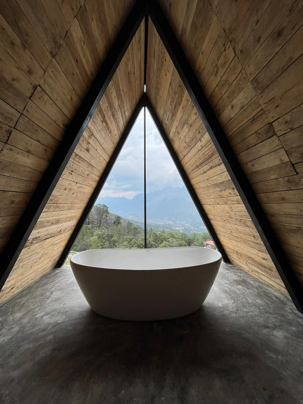 El Águila 2 | Vive Libre